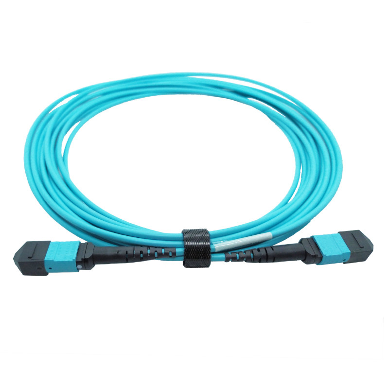 OM4 Multimode Type B Plenum MTP Trunk Cable 5M 12 Fibers MTP Female ...